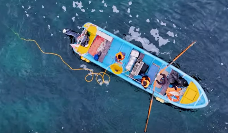 Informe de la FAO: La producción mundial de la pesca y la acuicultura alcanza un nuevo máximo ...