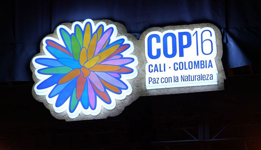 COP16: Guía para entender el mecanismo que confronta a países ricos con ...