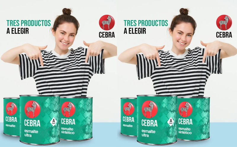 Pinturas Cebra: "El secreto de un brillante acabado profesional está en ...